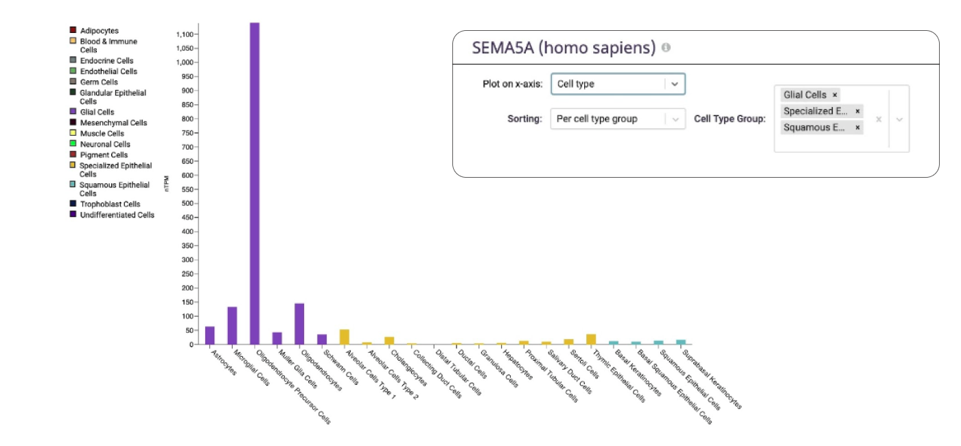Introducing Single Cell Transcriptomics To The Euretos Platform 7904